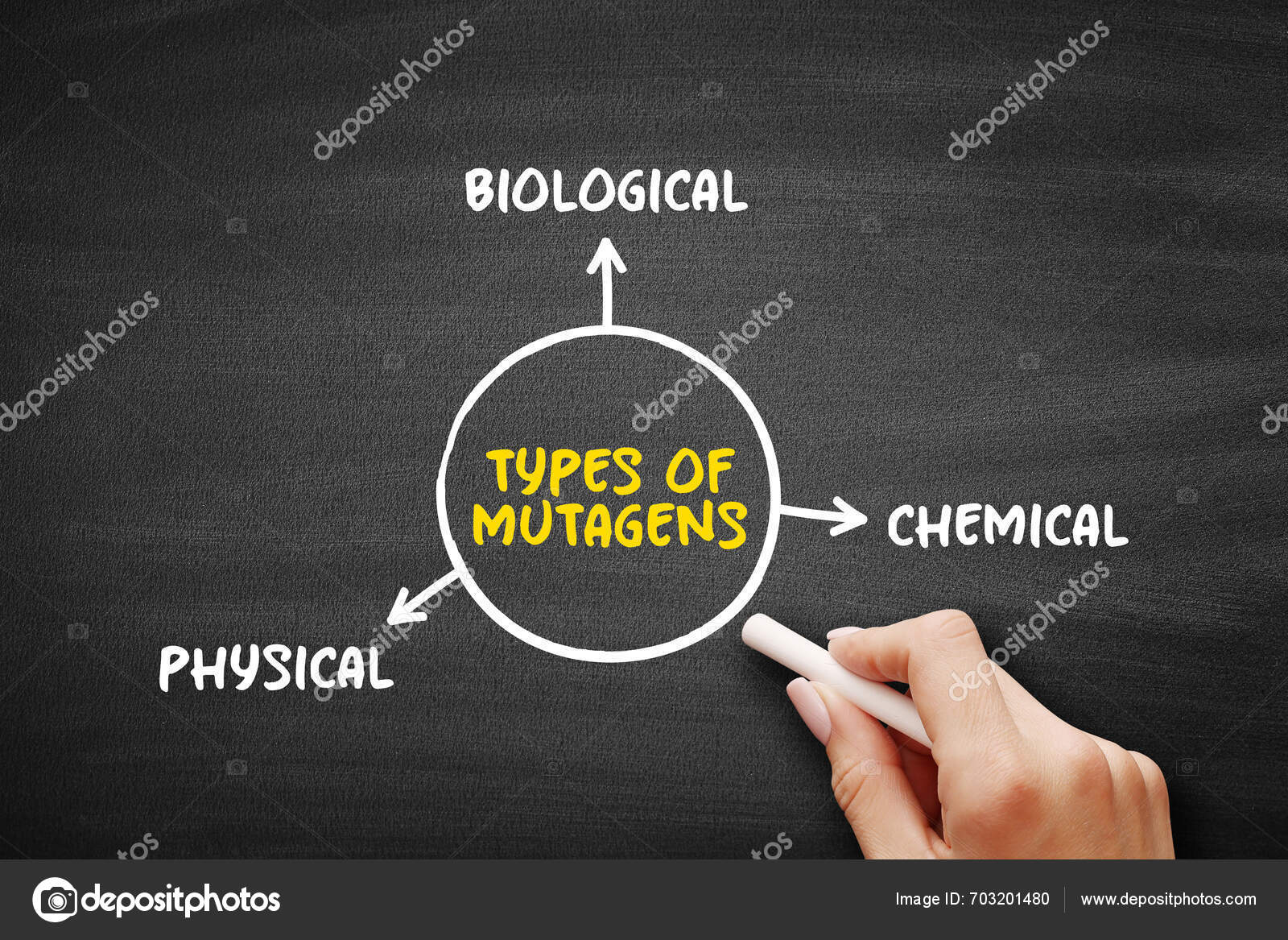 Tipos Mutágeno Cualquier Cosa Que Cause Una Mutación Cambio Adn — Foto ...