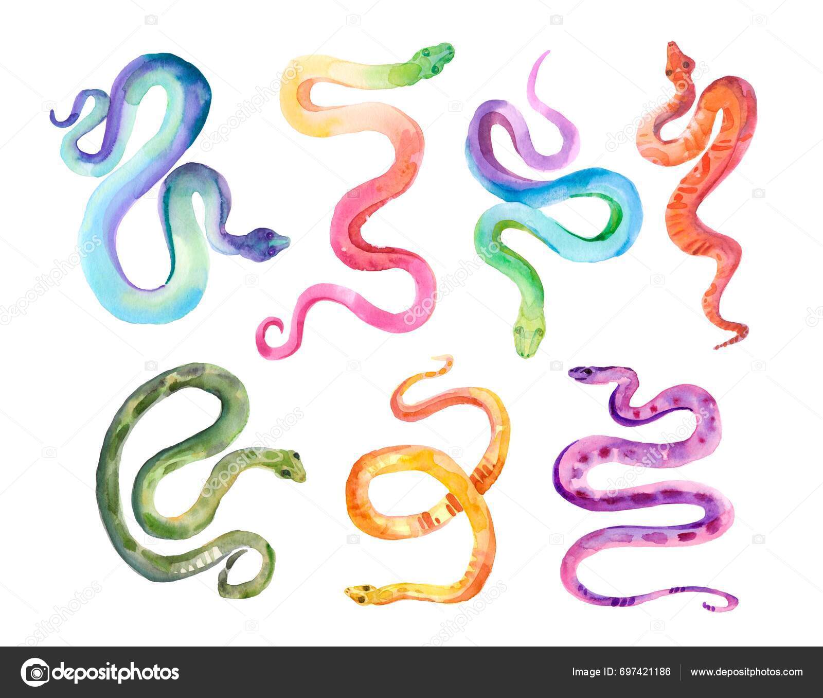Watercolor Snakes Top View Illustration Big Set Isolated White ...
