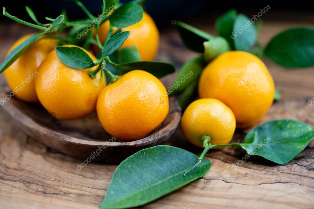 Calamondin Orange nitro fortunella macrocarpa es un híbrido de ...