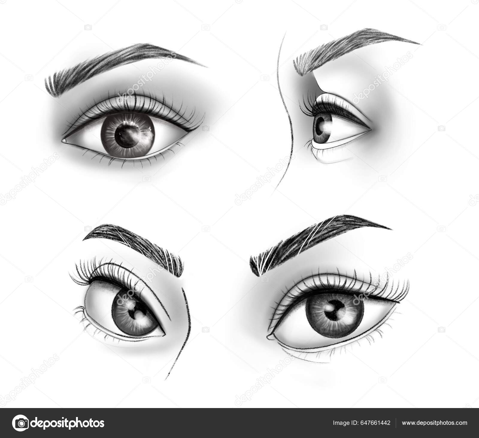 Human Eyes Foreshortenings Turns Eye Drawing Full Face Profile Half ...
