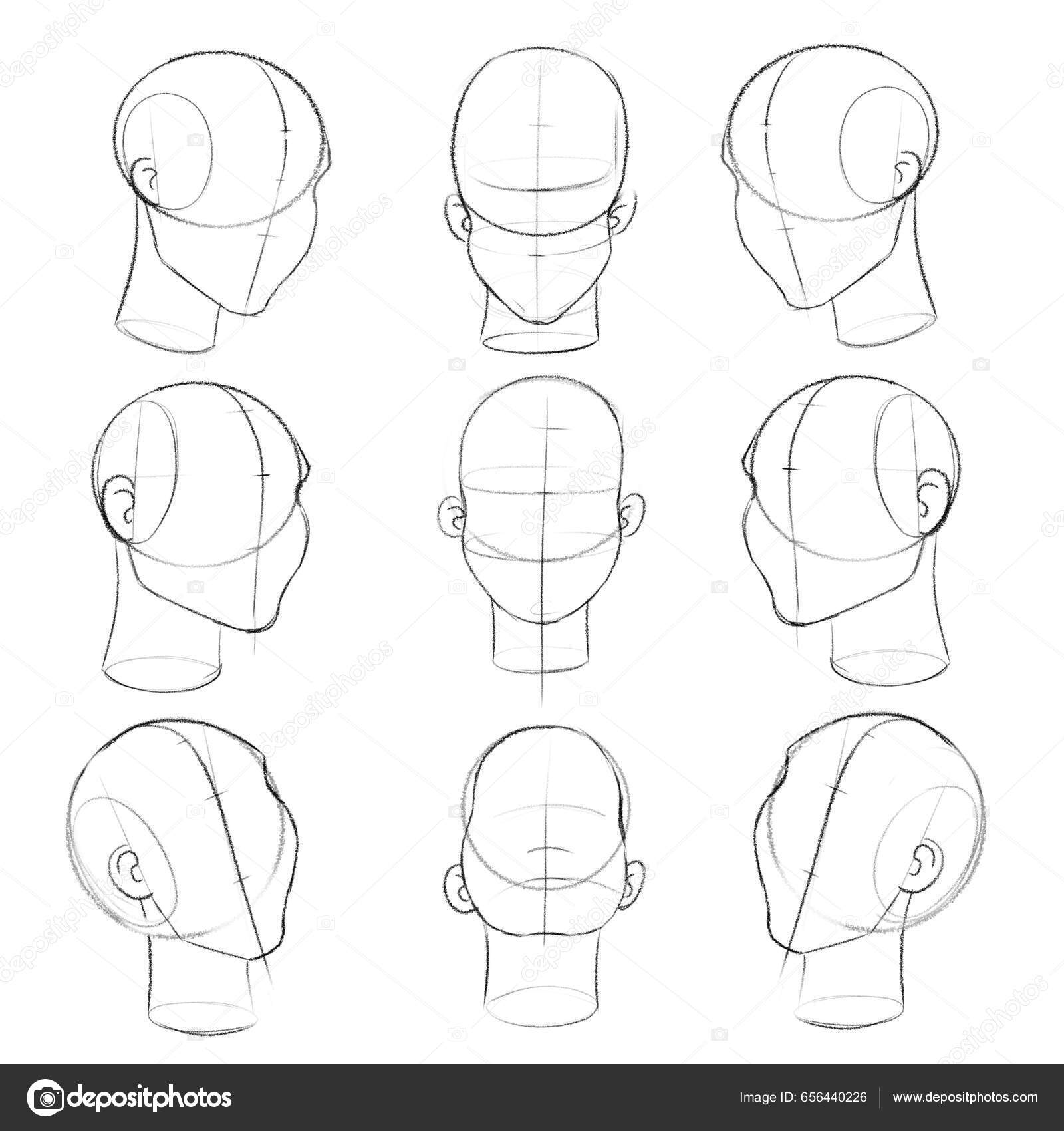 Cabeza Humana Varios Ángulos Rotaciones Dibujo Lápiz Para Artistas ...
