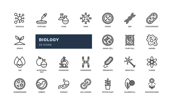 100,000 Biologia símbolos Vector Images | Depositphotos