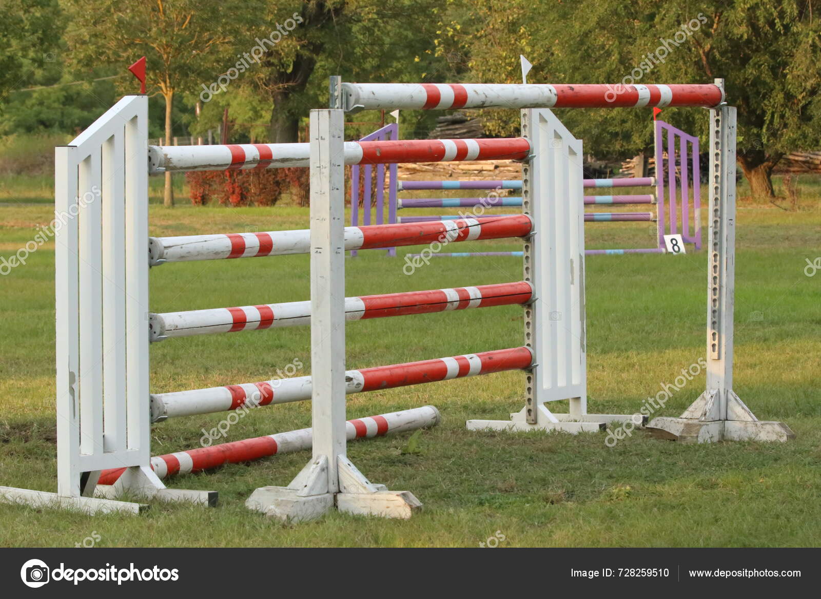 Show Jumping Poles Obstacles Barriers Waiting Riders Show Jumping ...