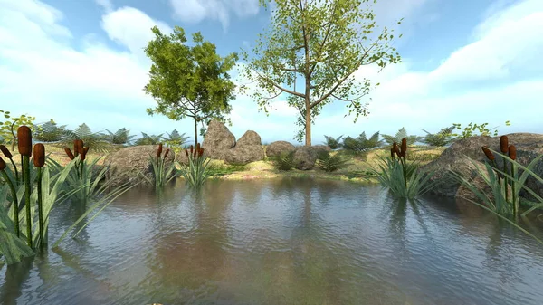 Fotos de Xeric environment, Imagens de Xeric environment sem royalties ...