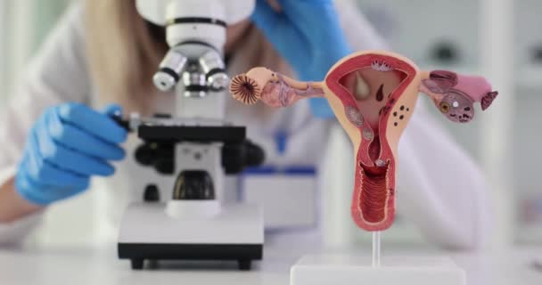 300 Gynecological exam Stock Videos, 4K & HD Footage | Depositphotos