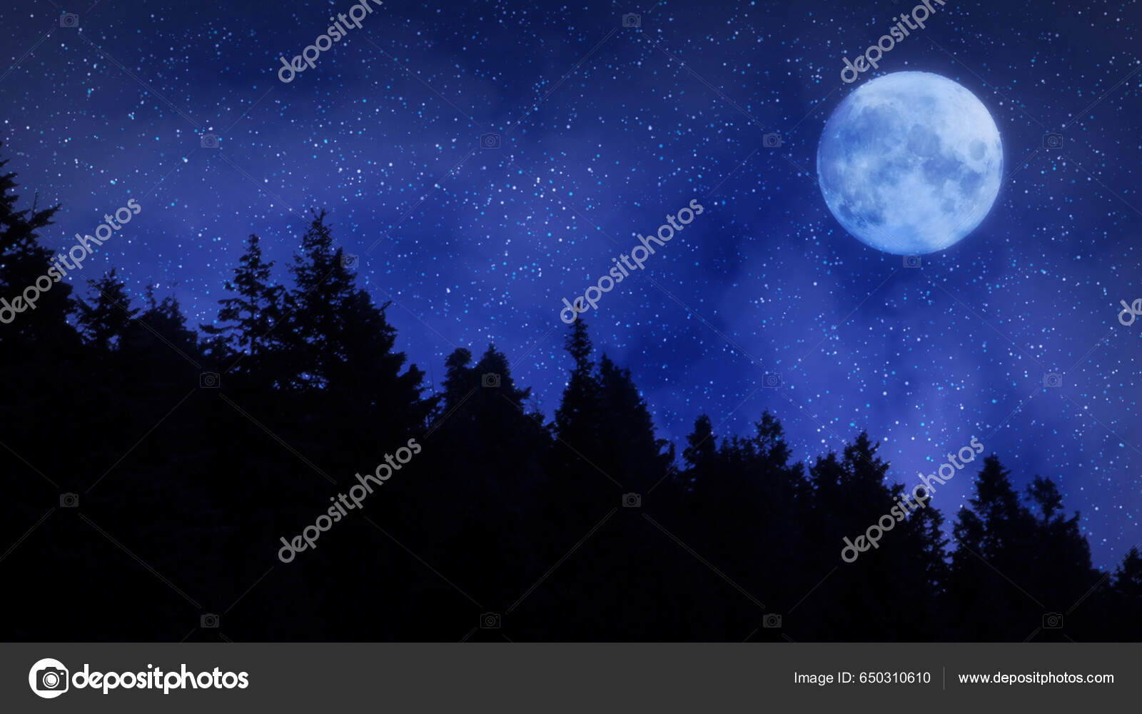 Cold Starry Night Mountains Full Moon Features Silhouette Pine Trees ...