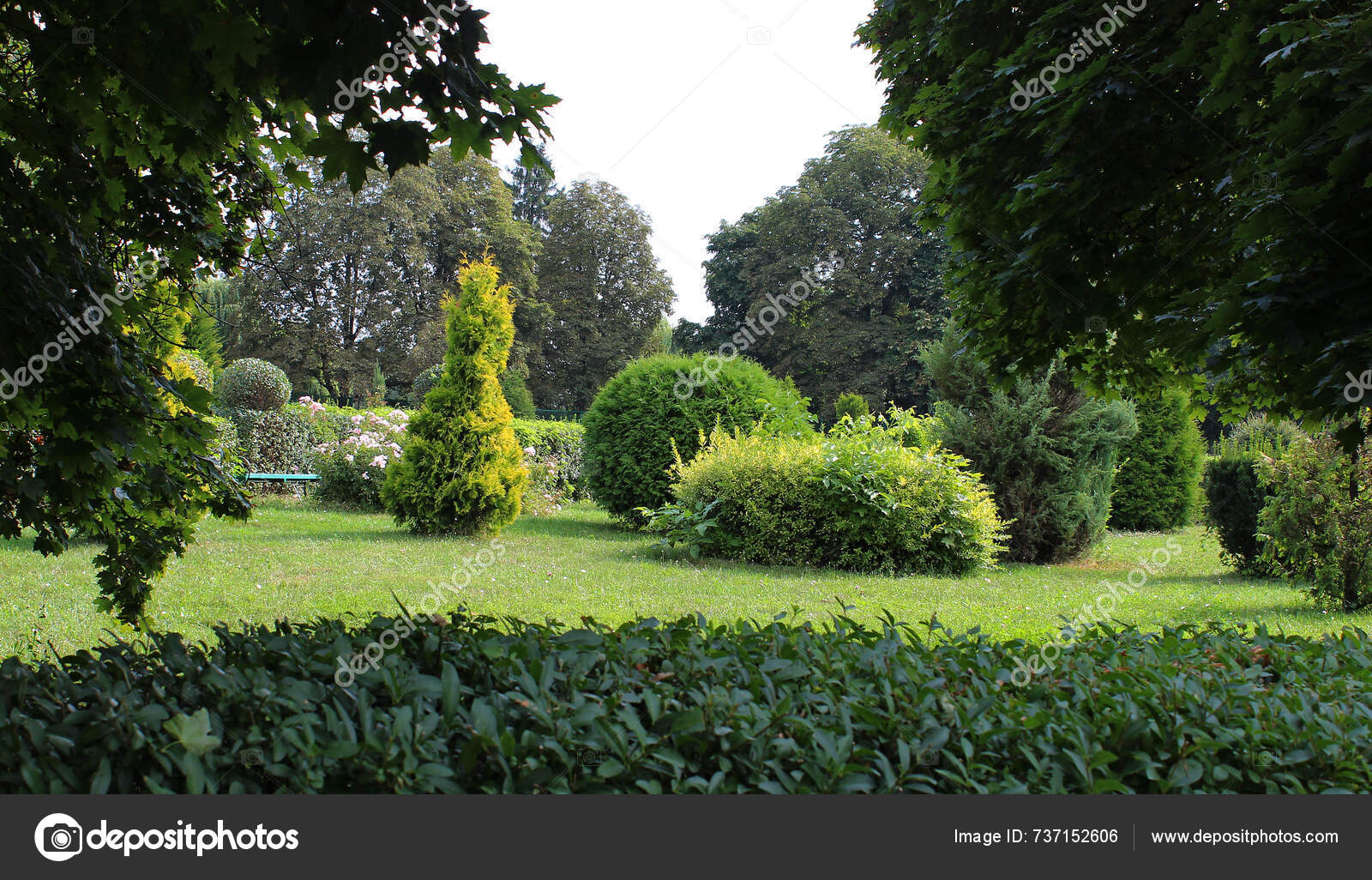 Clearing Well Kept Lawn Various Trimmed Trees Bushes — Stock Photo ...