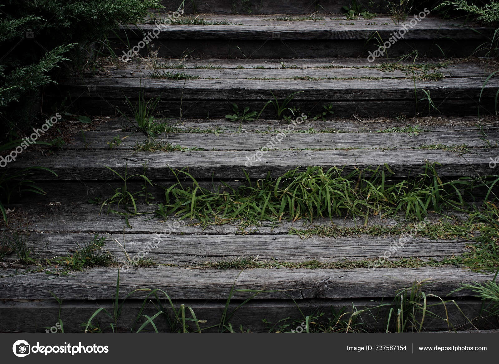 Dark Steps Old Abandoned House Ominous Atmosphere Entrance Steps ...