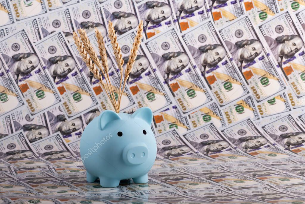 Hucha azul y espigas de trigo en el fondo de billetes de 100 dólares ...