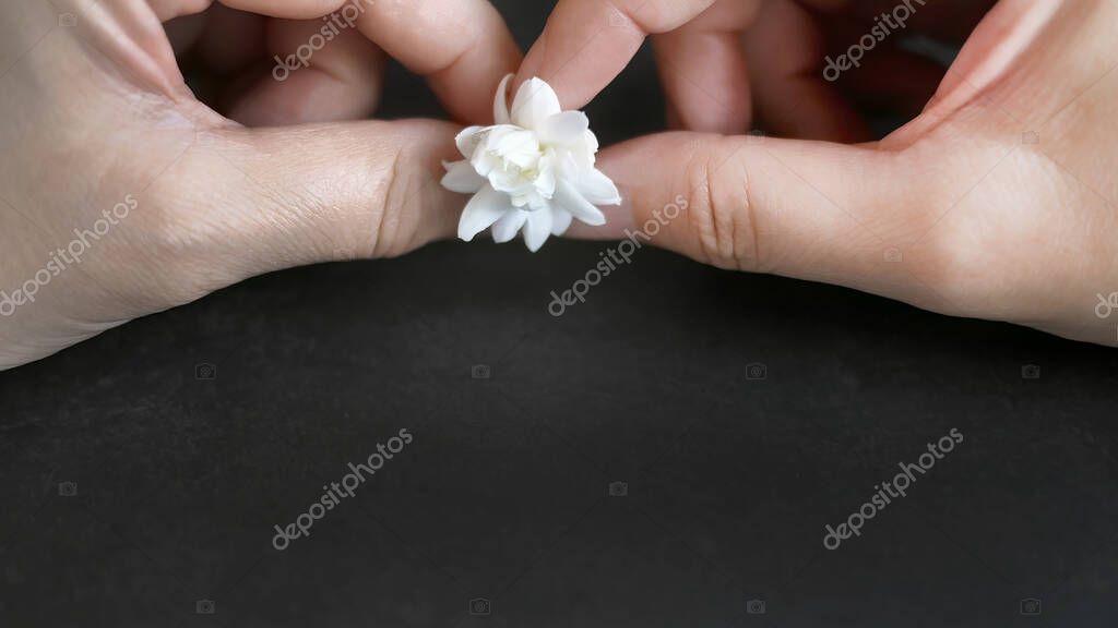 Dos manos femeninas sosteniendo una sola flor de jazmín blanco sobre ...