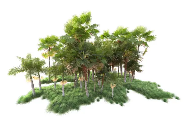 Palm trace images libres de droit, photos de Palm trace | Depositphotos