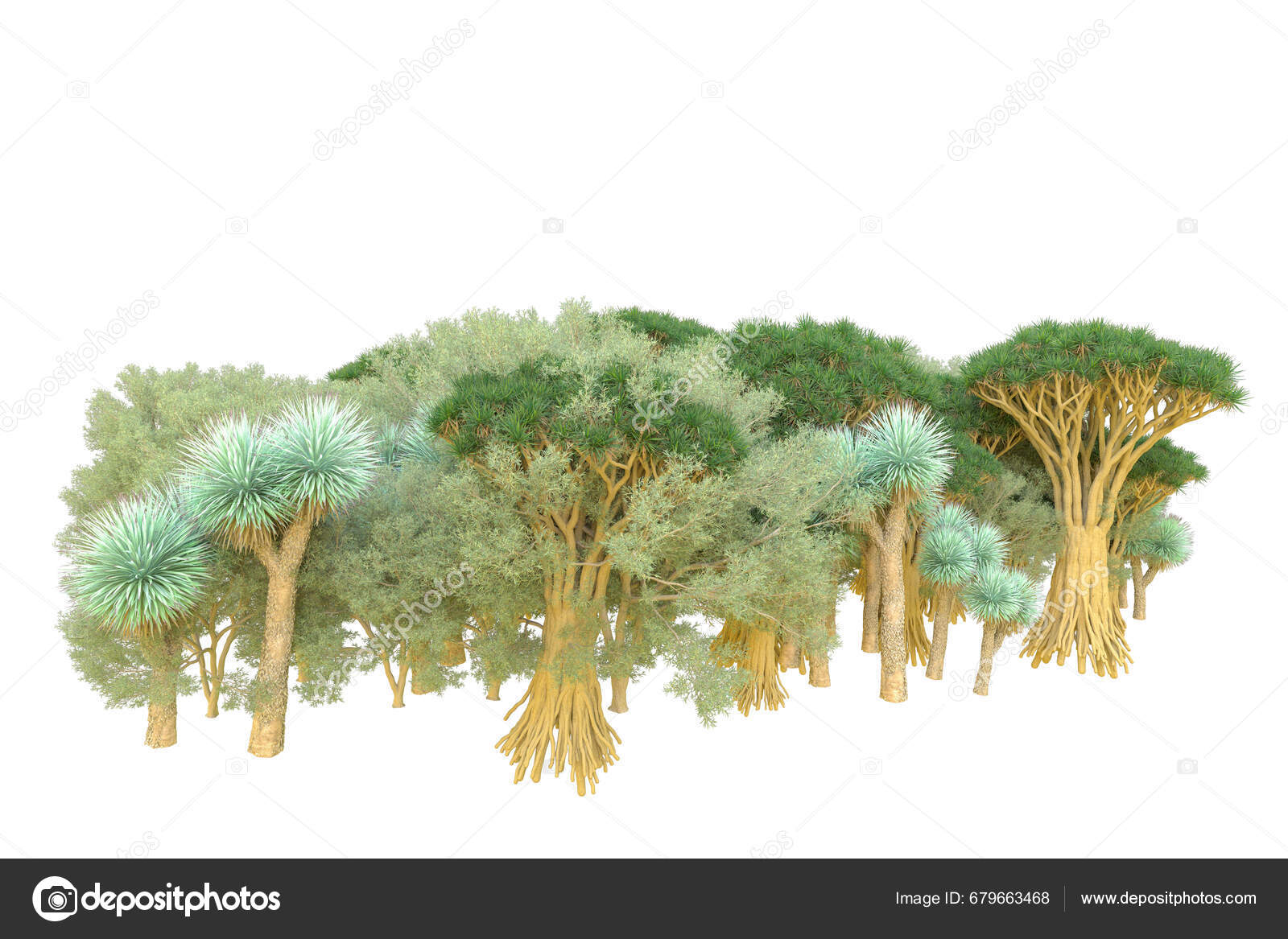 Forest Isolated White Background Rendering Illustration Stock Photo by ...