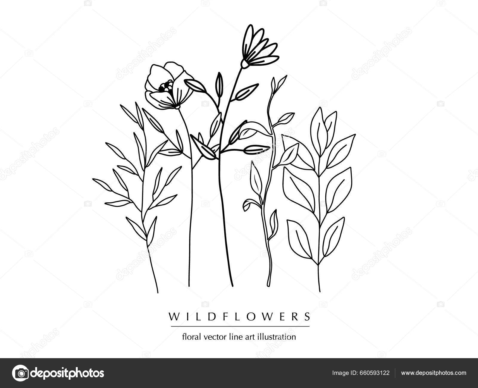 Botanical Abstract Line Art Composition Wildflowers Minimal Floral