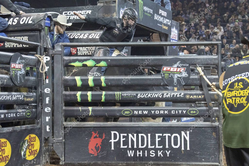 2024 Jinetes profesionales del toro desatan la bestia en el jardín. 7 ...