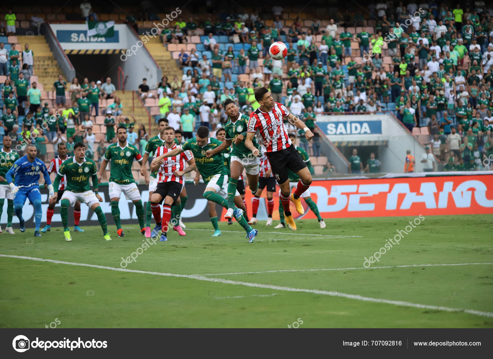 Santos Brazil 2024 Throw Match Palmeiras Botafogo Valid 2024 Paulista ...
