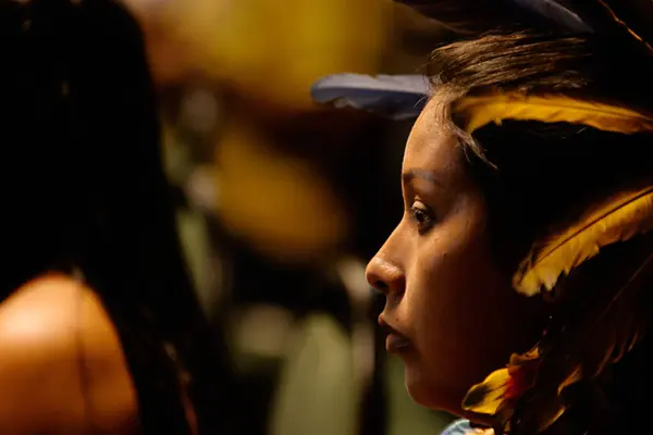 Imágenes de Unesco declaring native american languages in danger of disappearing libres de ...