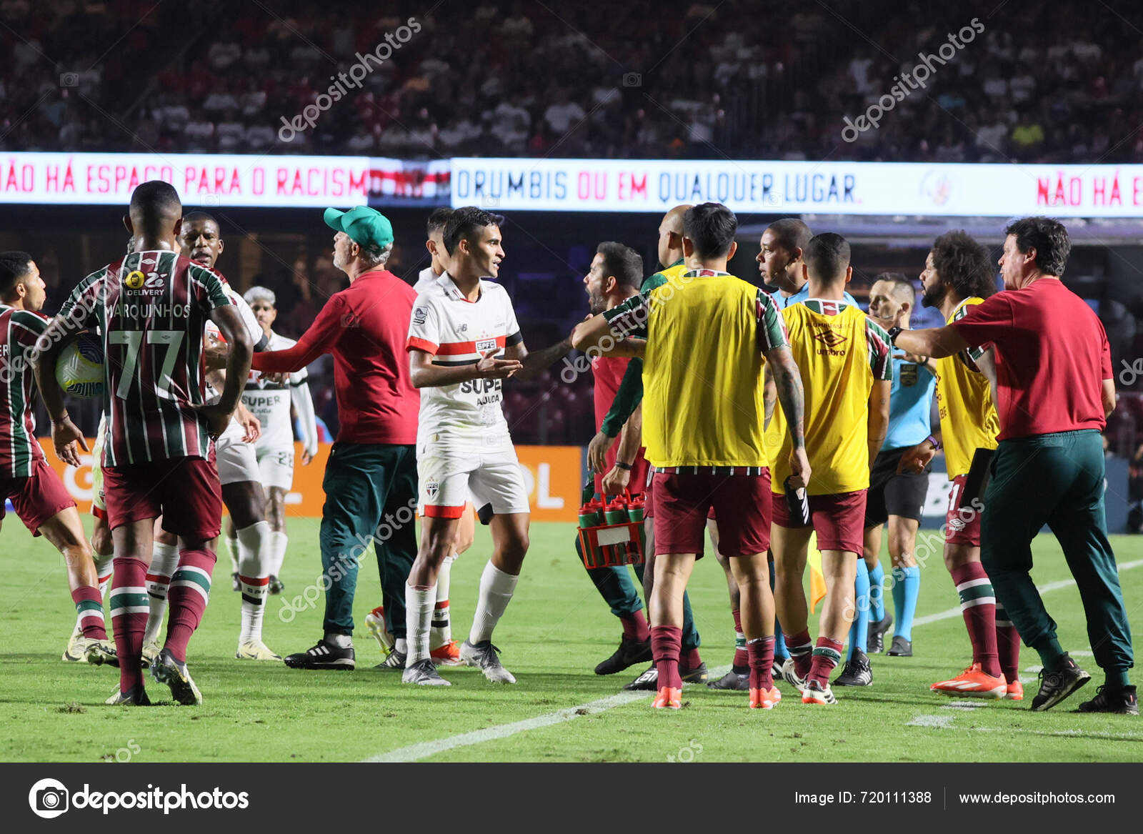 Sao Paulo 2024 Coach Fernando Diniz Fluminense Gets Involved Argument ...