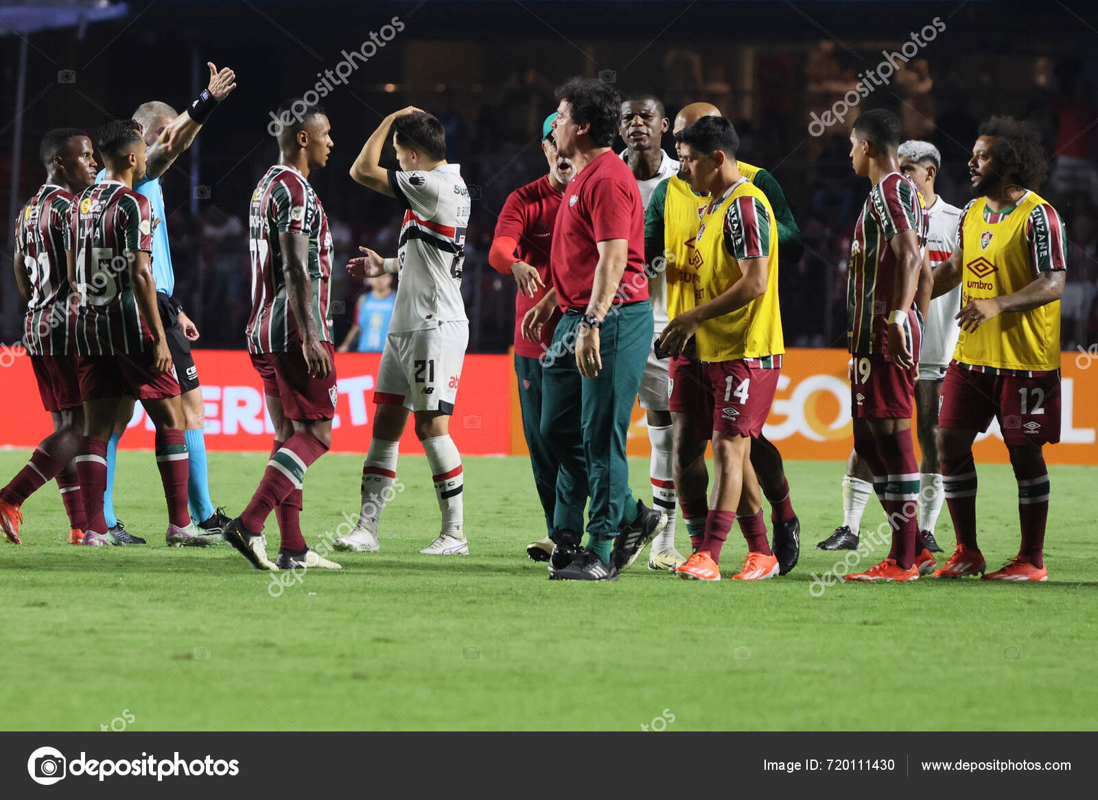 Sao Paulo 2024 Coach Fernando Diniz Fluminense Gets Involved Argument ...