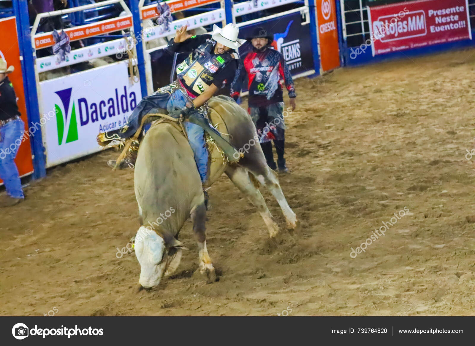 Santo Antonio Platina Brazil 2024 Bullfighting Rodeo Efapi Arena Its ...