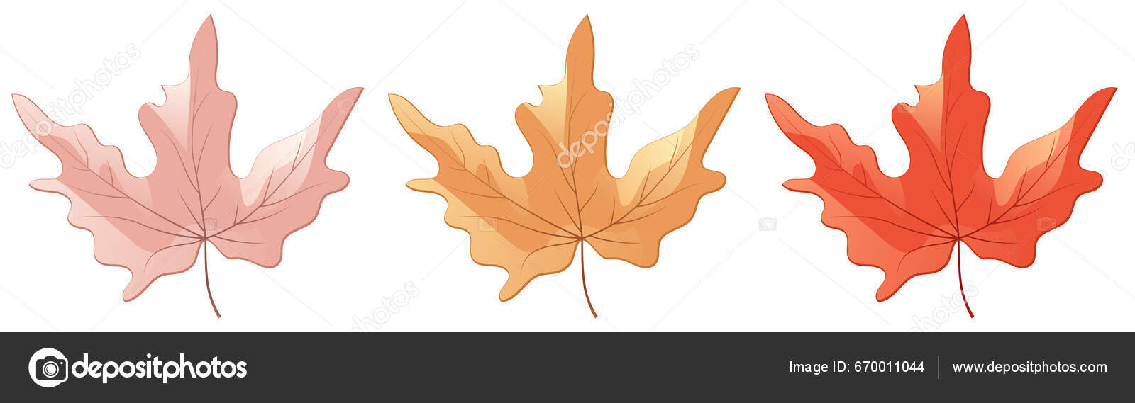 Autumn Leaves Set Maple Leaves Yellow Red Green Maple Leaves Stock ...