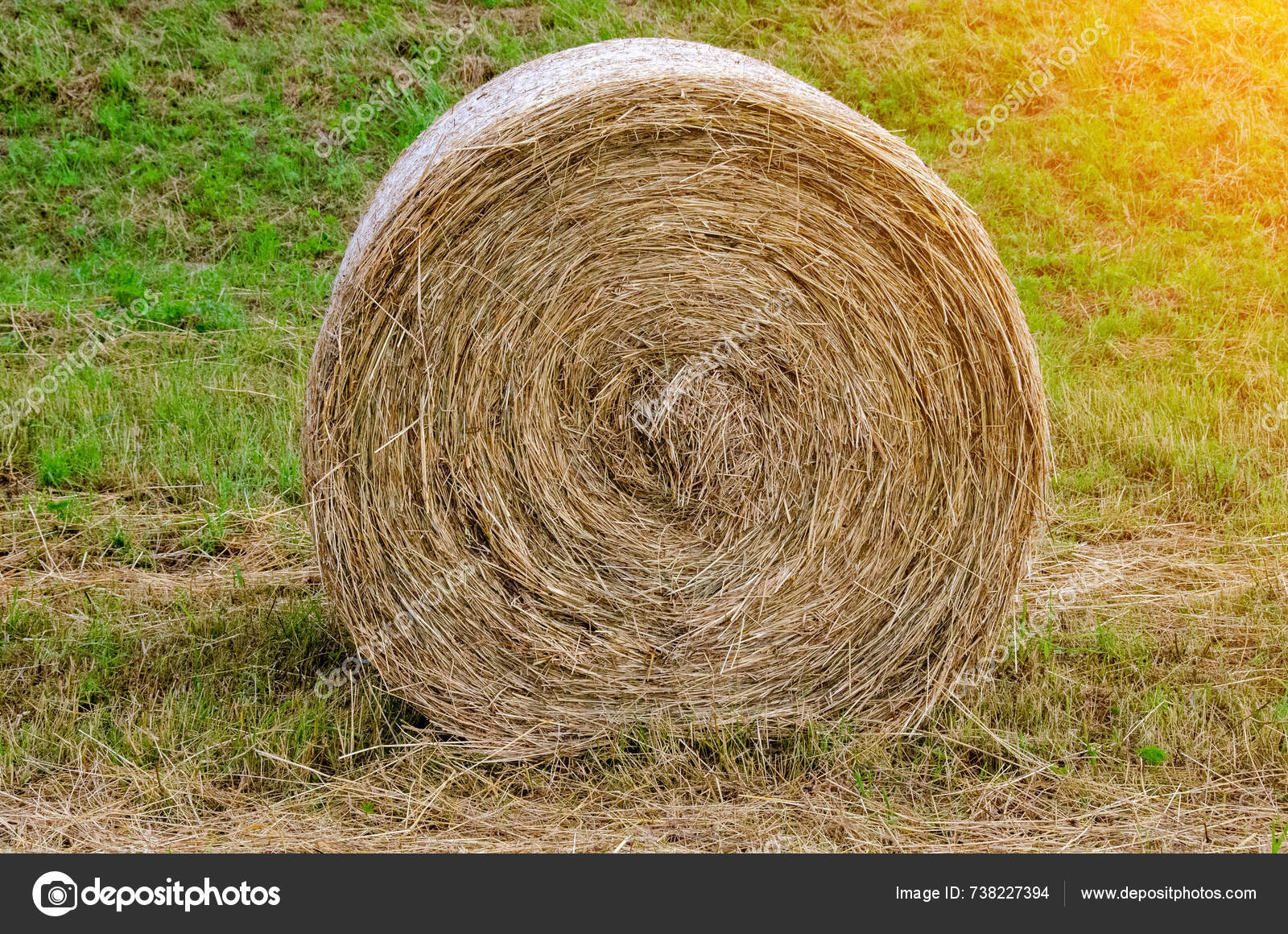 Hay Bales Hay Bales Stacked Field Large Stacks Harvesting Agriculture ...