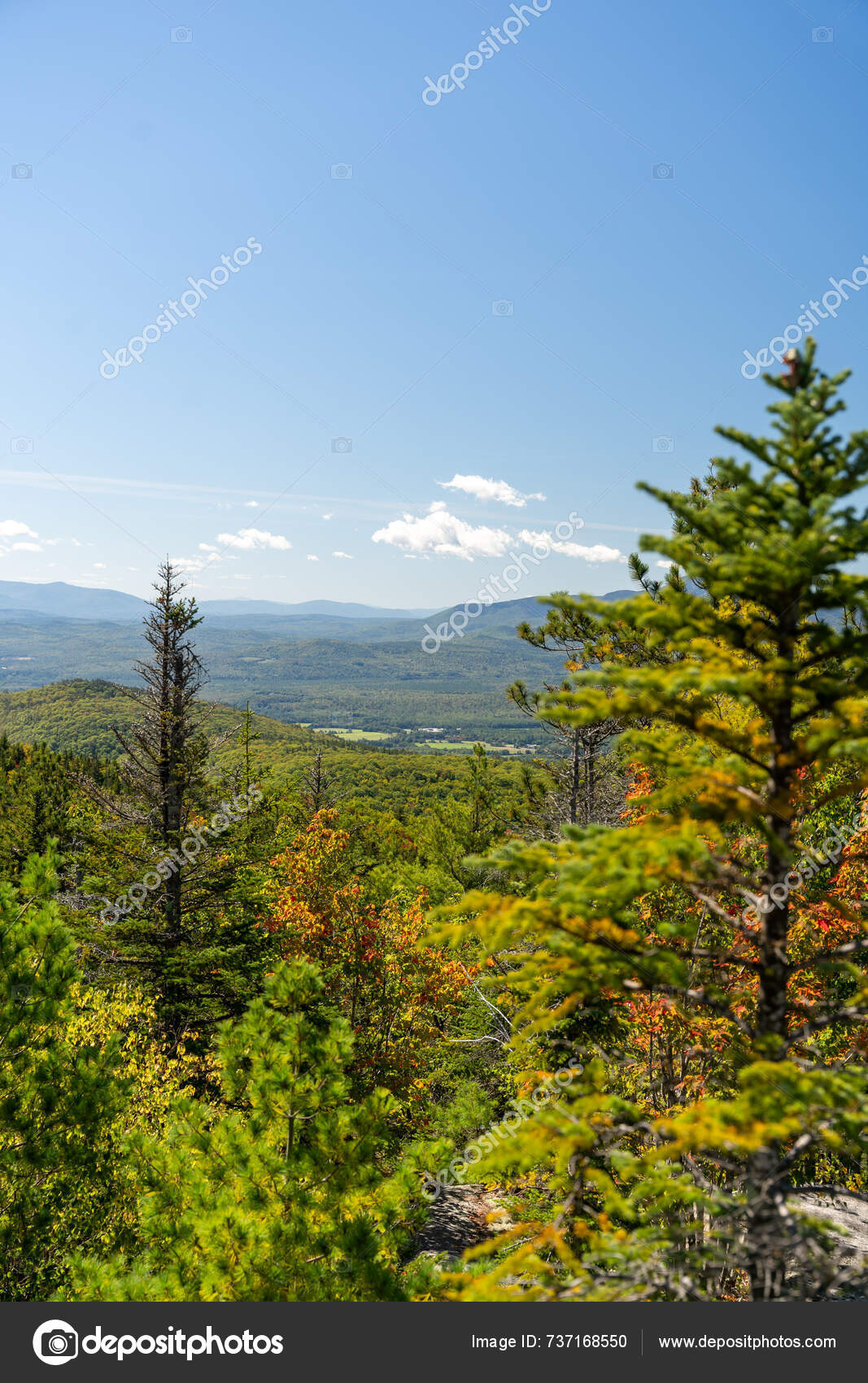Beautiful View Mountains Lots Lush Plants Trees White Mountain National ...
