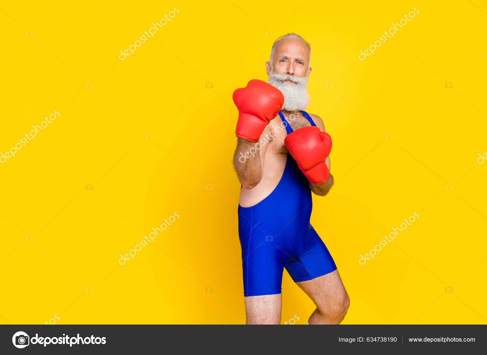 Boxer Fighter Full Body