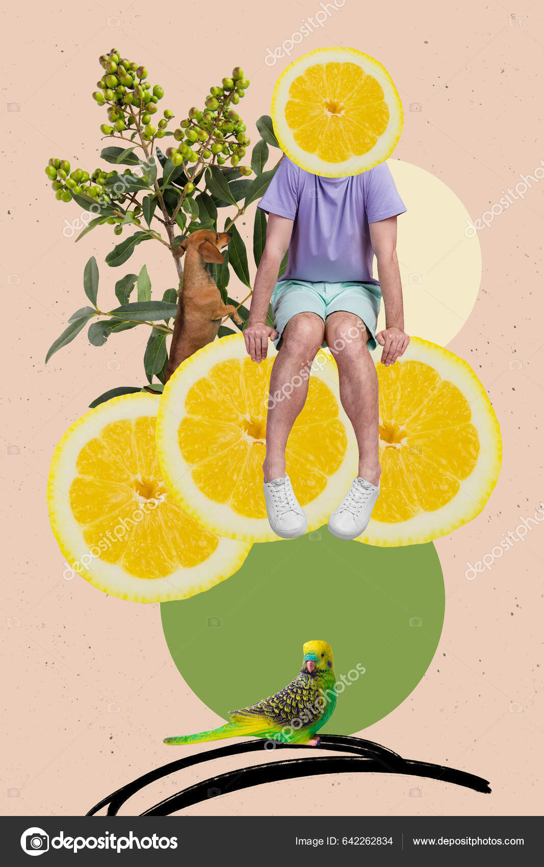 Composite Photo Collage Design Details Picture Young Head Orange Man ...