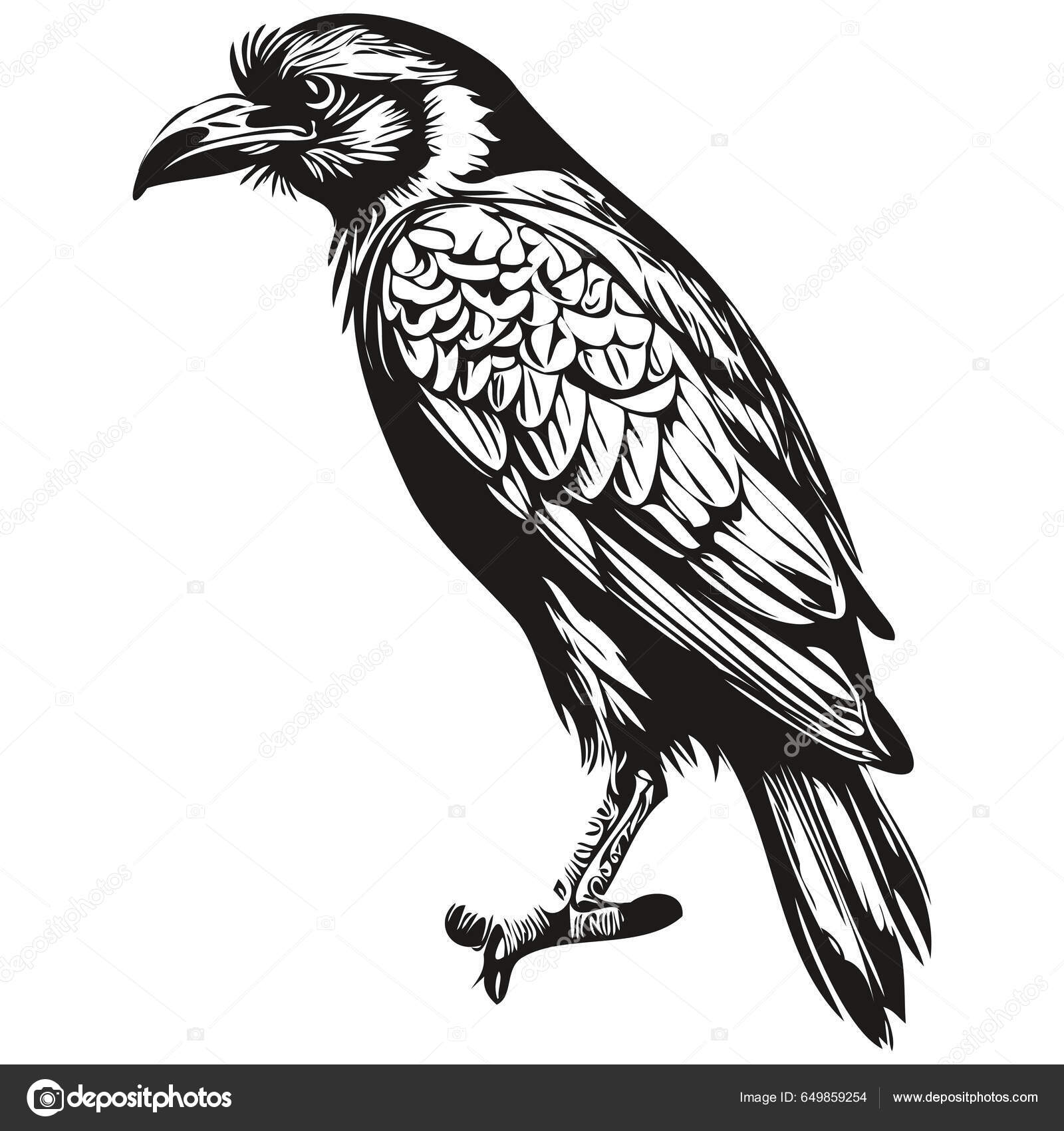 Logotipo Raven Ilustración Blanco Negro Dibujo Mano Corbi Vector de ...