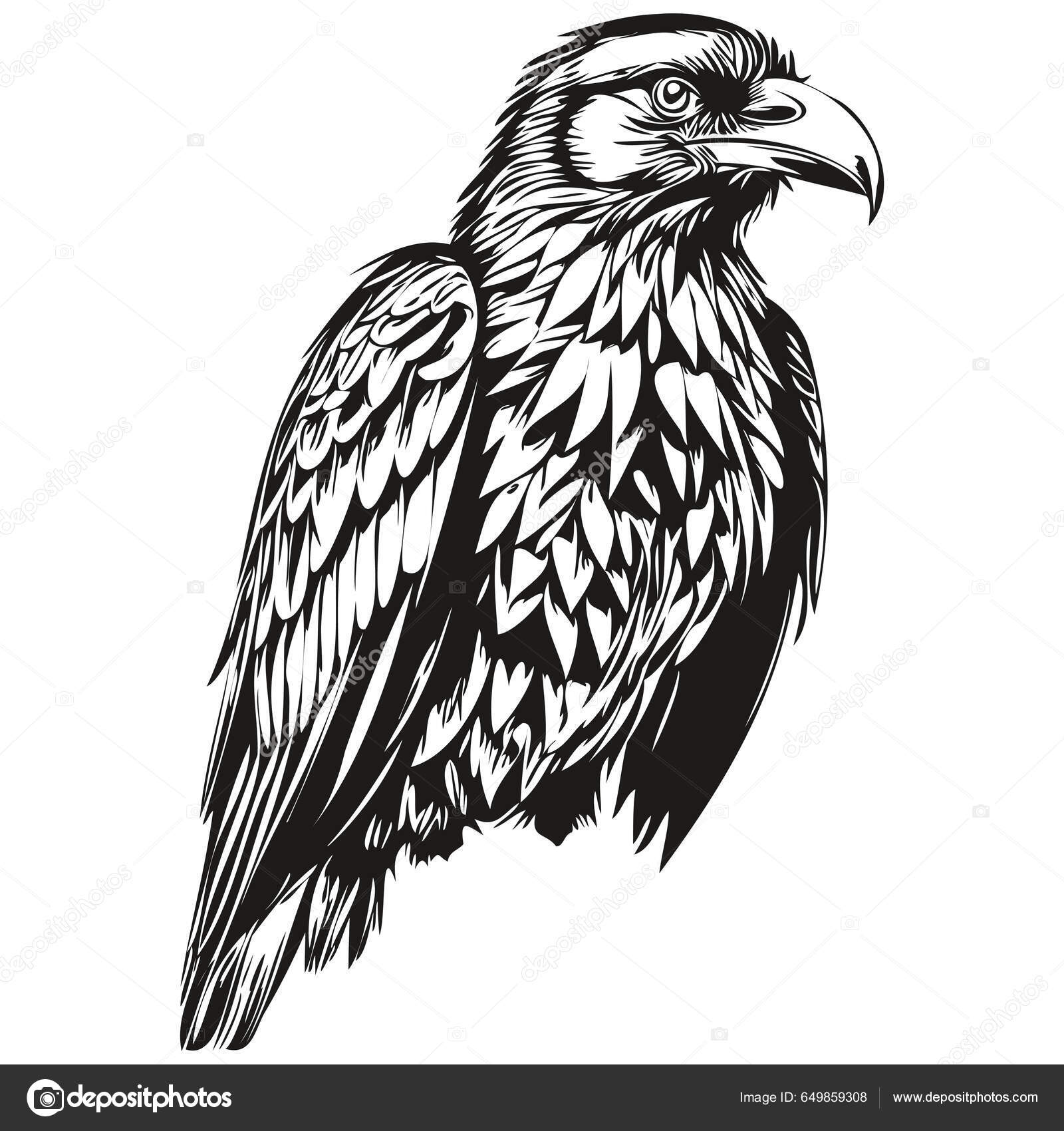 Rabe Vektor Illustration Linie Kunst Zeichnung Schwarz Und Weiß Corbi ...