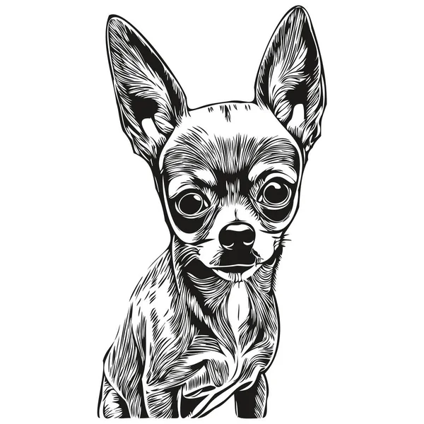 Chihuahua Hund Logotyp Hand Dras Linje Konst Vektor Teckning Svart ...