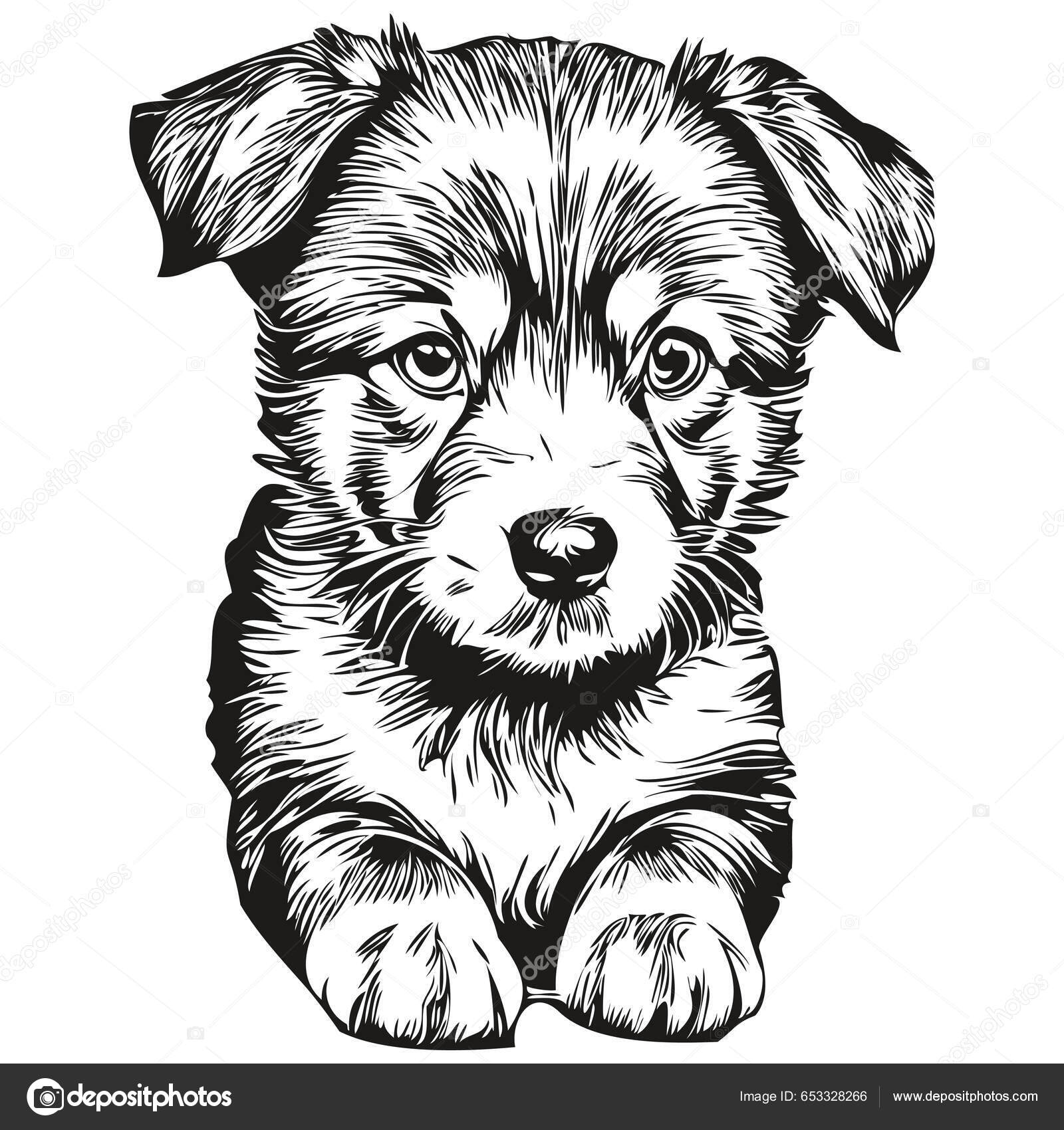 Valp Tegning Bilder Fil:Escudo De Valparaíso (Chile).svg Wikipedia,