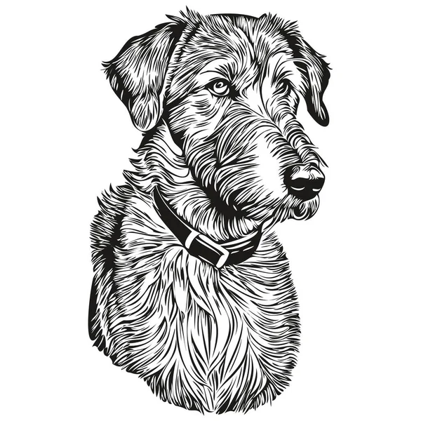 Airedale Terrier Dog Line Illustration Black White Ink Sketch Face ...