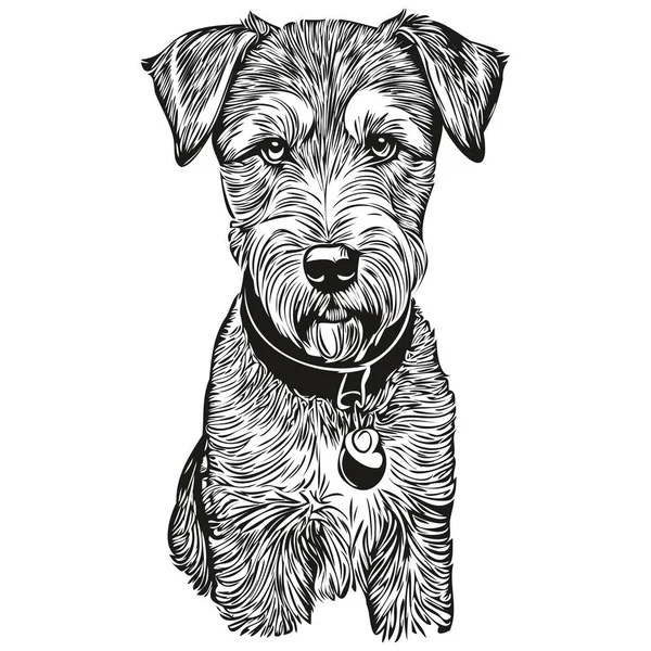 Airedale Terrier Dog Line Illustration Black White Ink Sketch Face ...