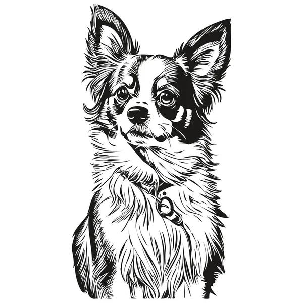 Papillon Dog Dog Head Line Drawing Vector Hand Drawn Illustration Stock ...