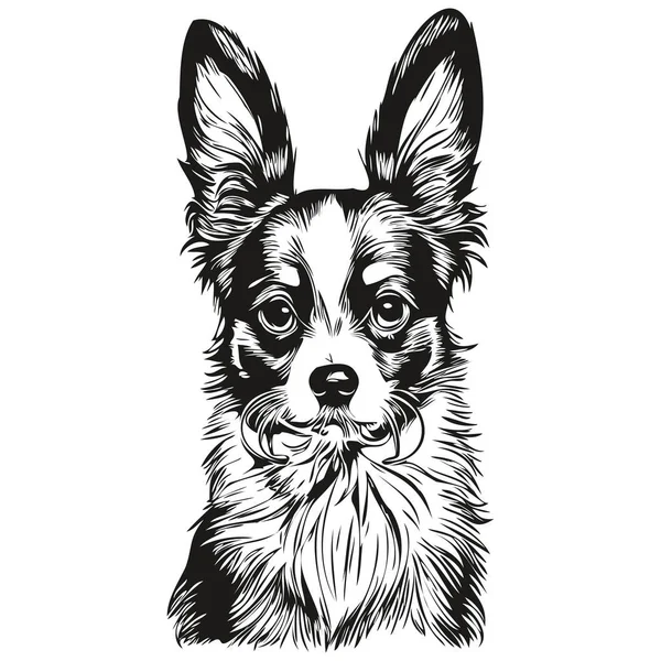 Papillon Dog Dog Head Line Drawing Vector Hand Drawn Illustration Stock ... Papillon Dog Dog Head Line Drawing Vector Hand Drawn Illustration Stock ...