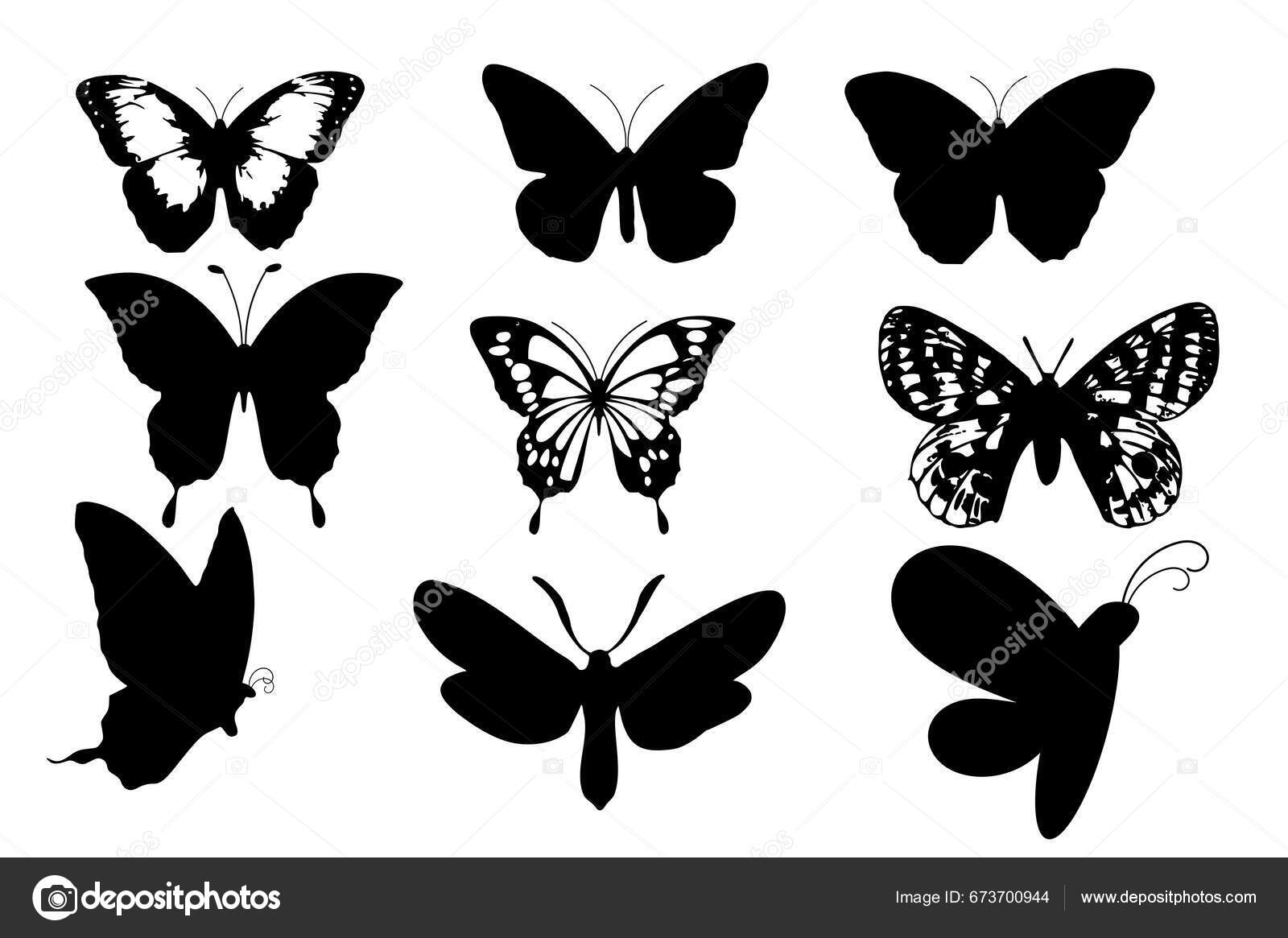 Butterfly Silhouette Insect Vector Graphics Stock Vector by ©ja ...