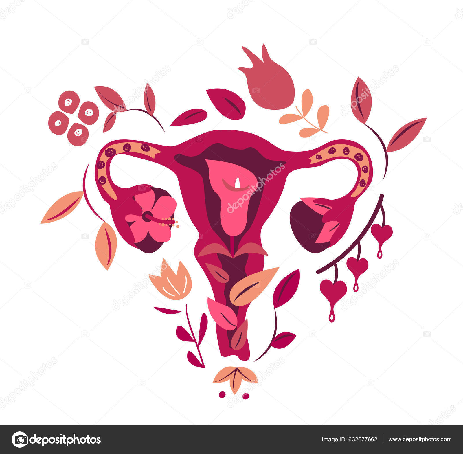Beautiful Female Reproductive System Flowers Feminine Gynecology