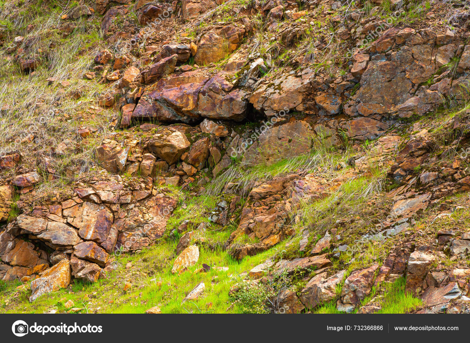 Red Granite Rocks Granite Background Plants Stone Abstract Stone ...
