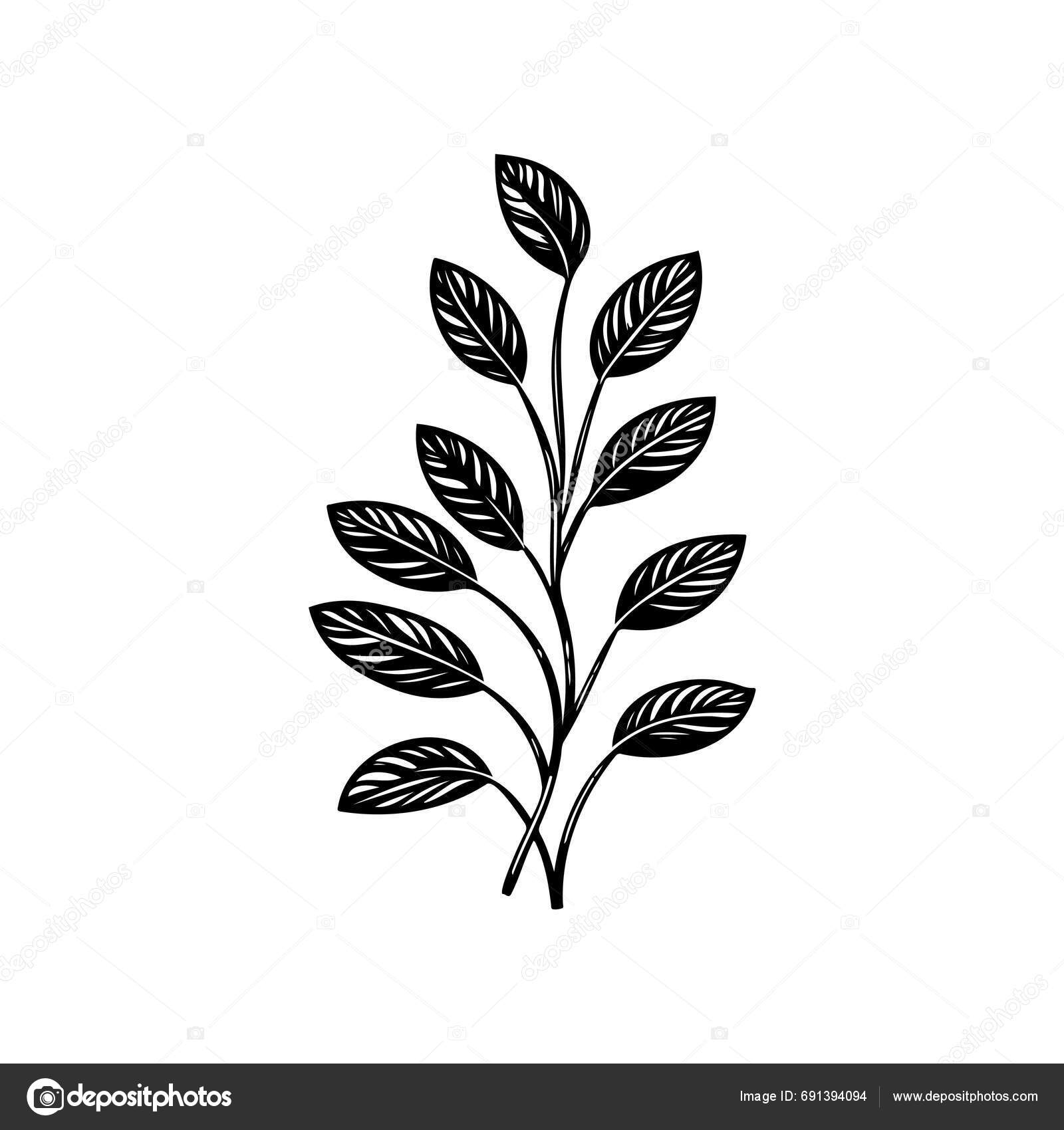 Aconite Icon Hand Draw Black Plant Logo Vector Element Symbol Stock ...
