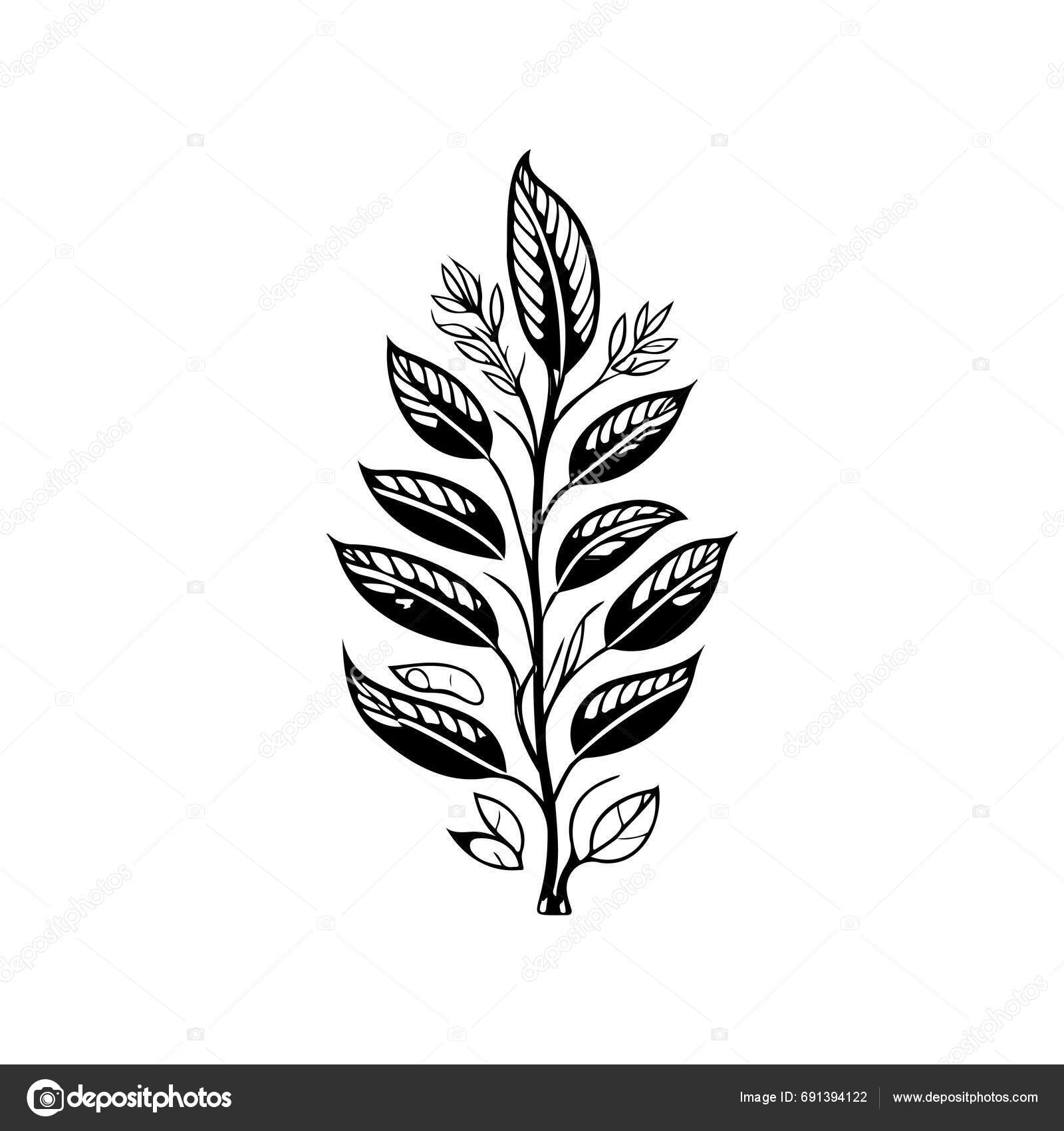 Aconite Icon Hand Draw Black Plant Logo Vector Element Symbol Stock ...