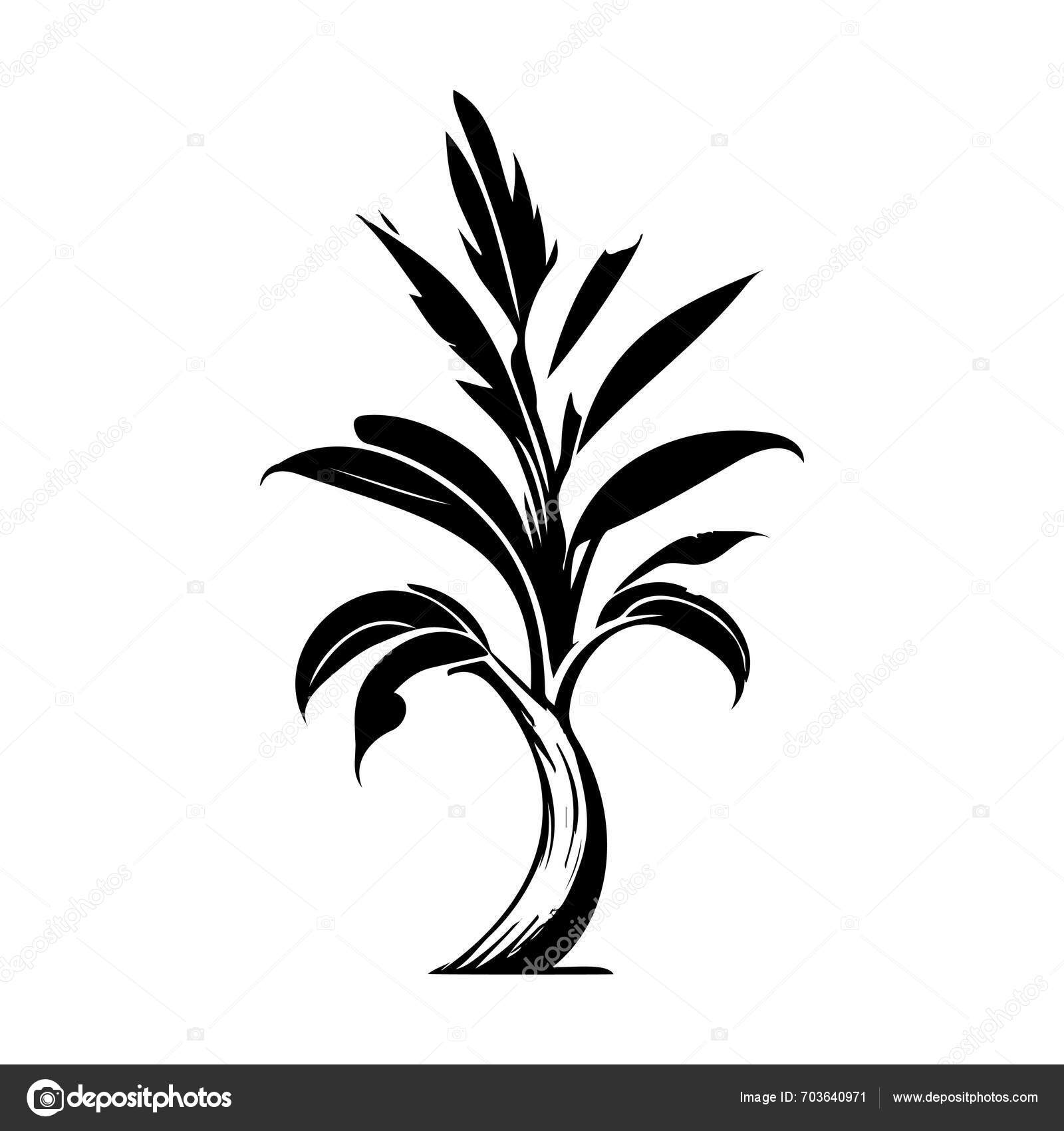 Banana Musa Icon Hand Draw Black Colour Tree Logo Vector Stock Vector ...