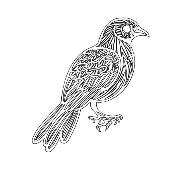 24,825,599 Common koel Vector Images | Depositphotos