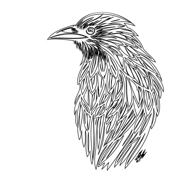 Vectores de Halcon dibujo, imágenes vectoriales | Depositphotos