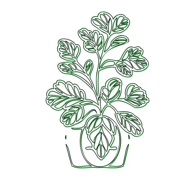 Plant pot drawing Vector Images | Depositphotos