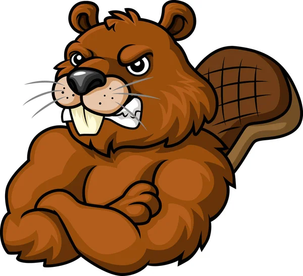 Angry beaver Vector Images | Depositphotos