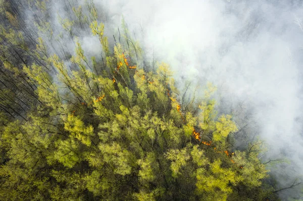 Bushfires Stock Photos, Royalty Free Bushfires Images | Depositphotos