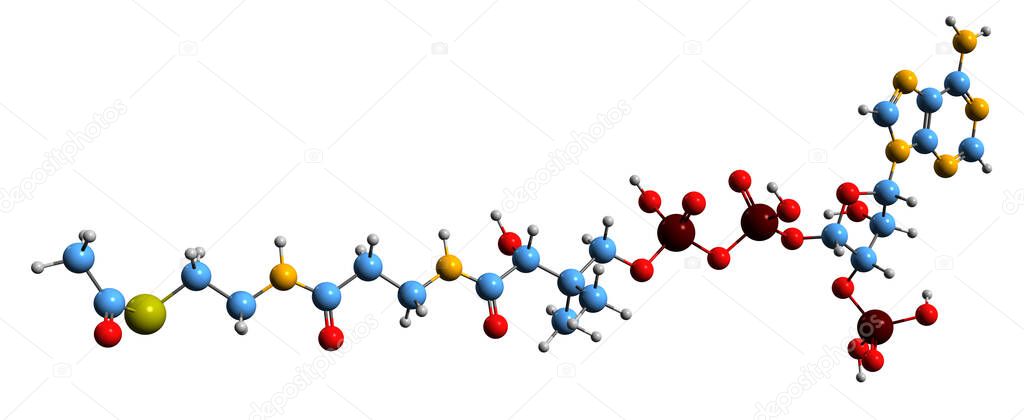 Imagen 3D de la fórmula esquelética Propionyl-CoA - estructura química molecular de la coenzima ...