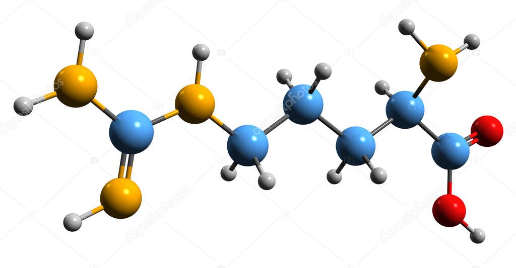 Imagen 3D de la fórmula esquelética de arginina - estructura química ...