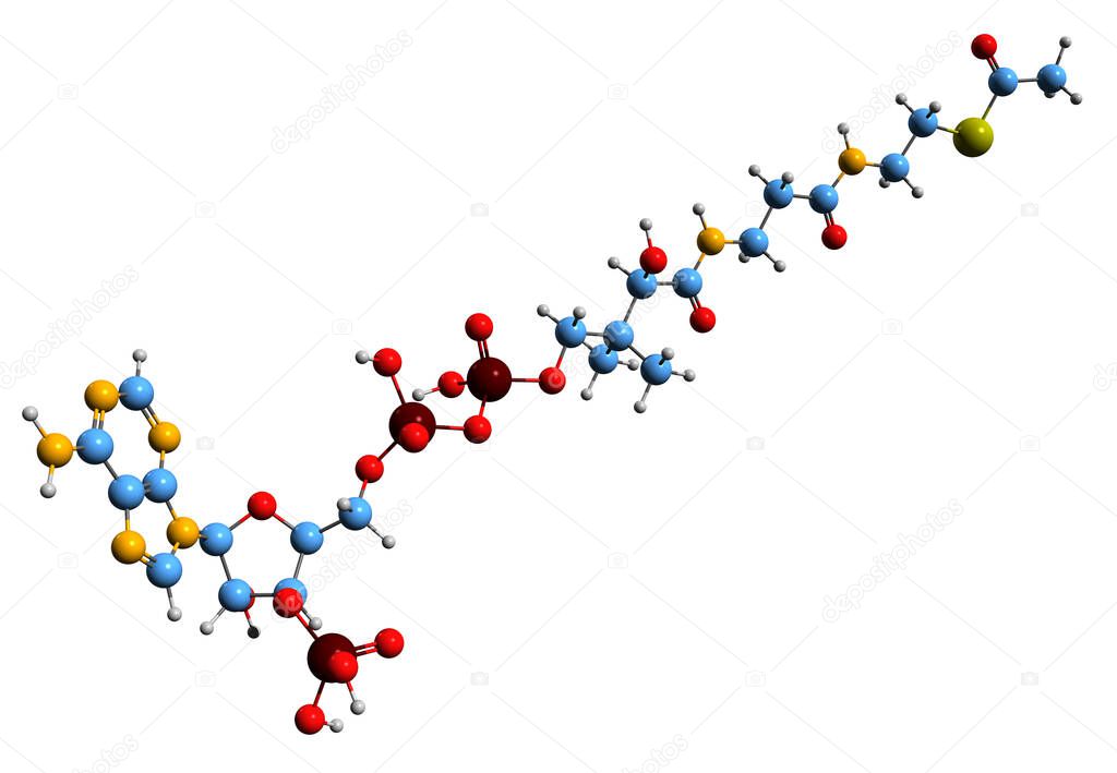 Imagen 3D de la fórmula esquelética de acetil-CoA - estructura química molecular de la coenzima ...